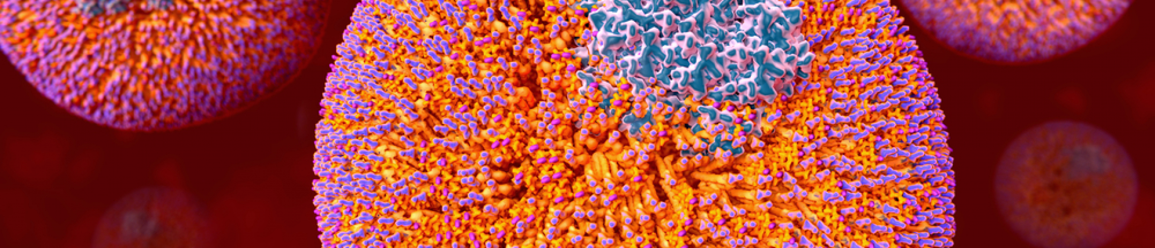 LDL particles in the blood stream Low-density lipoprotein (LDL ...